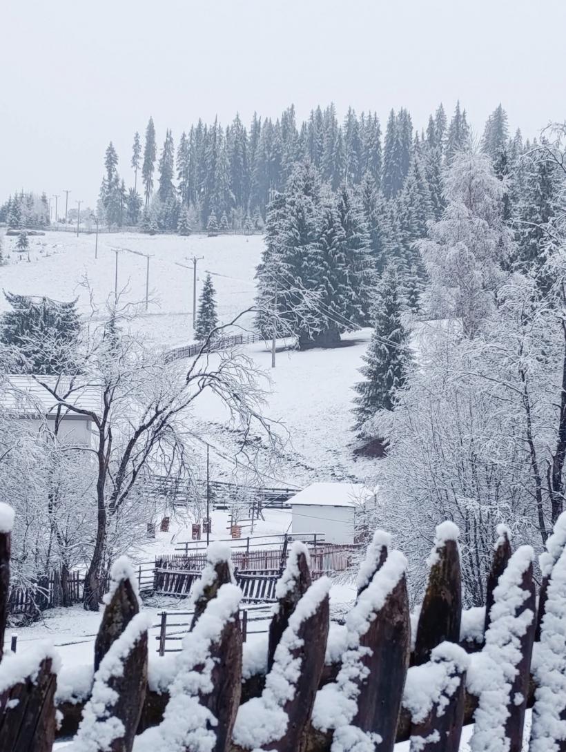 Galerie Foto - Prima ninsoare serioasă din acest sezon a scos utilajele ...