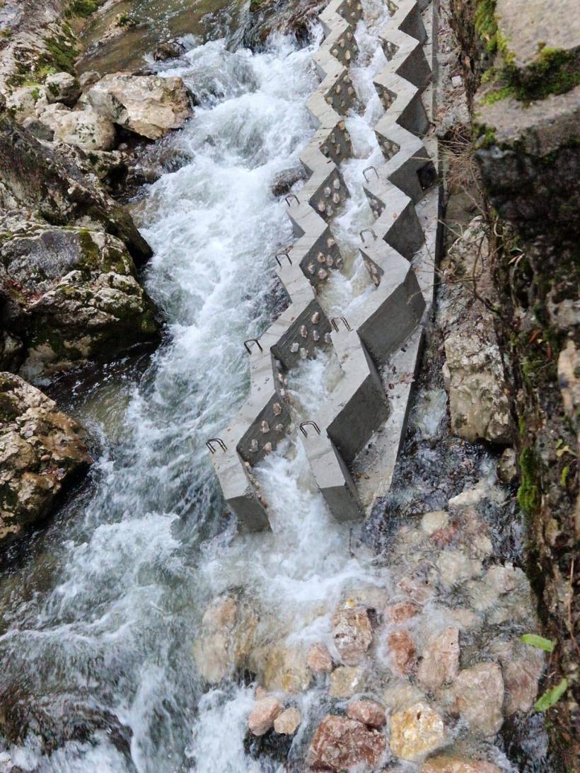 Galerie Foto - Peștii au acum scări pe râul Bicaz. Sistemul a fost ...