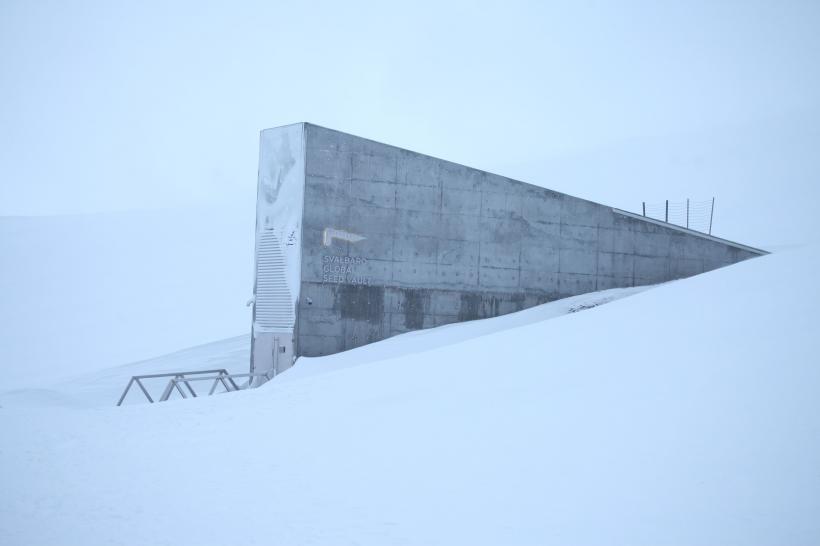 Galerie Foto - În Antarctica, a fost inaugurat un sanctuar pentru a ...