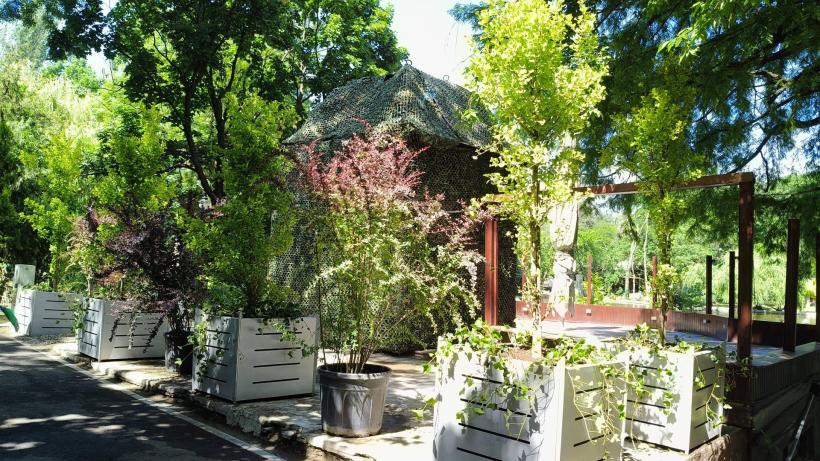 Galerie Foto - Primăria Bucureşti a publicat imagini cu un spaţiu din ...