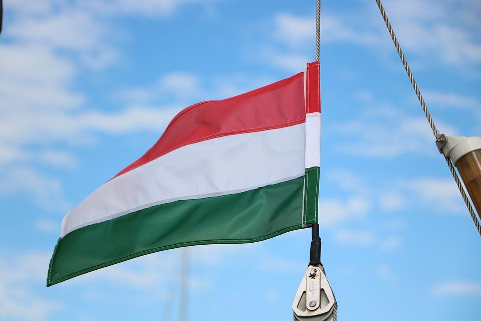 Drapelul Ungariei, arborat la Sfântu Gheorghe pentru a marca ocuparea ...