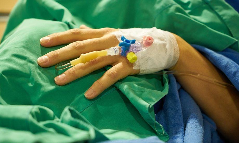 Pisici care cad din tavan, într-un spital din România. Una a ajuns ...