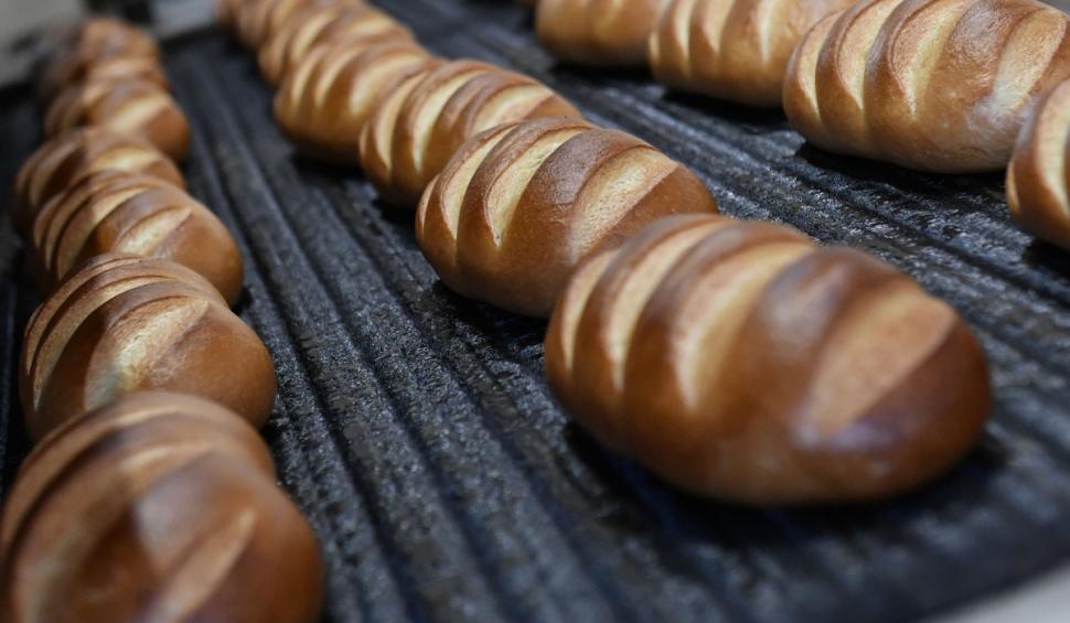 Pâinea cu făină de greieri s-ar putea găsi în curând pe rafturile ...