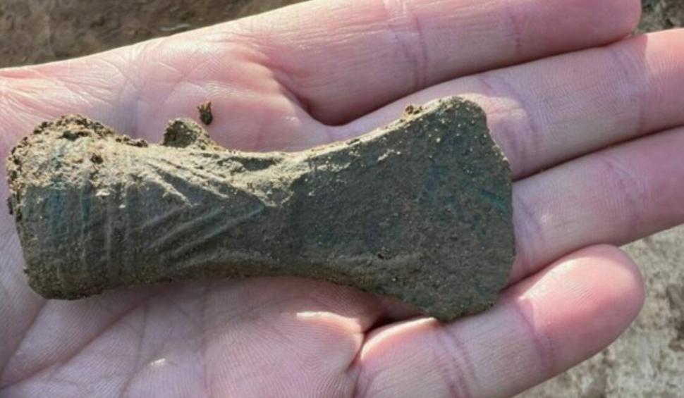 Topoare vechi de 3.000 de ani, descoperite într-o pădure de lângă Ocna ...