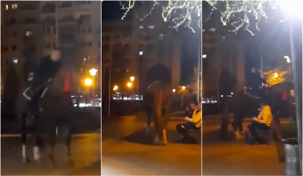”Omul e cu calul în parc! A rupt banca” | Mai mulți tineri și-au dus ...