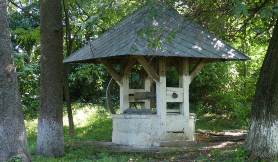 Fântâna cu puteri miraculoase din România. Poate vindeca orice boală ...
