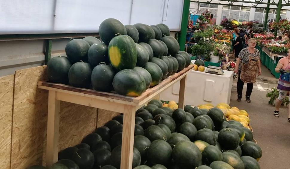 Cât costă pepenii de Dăbuleni în piețele din România. Prețurile sunt ...