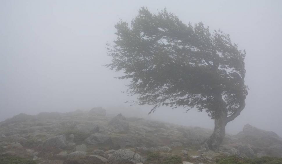 Alertă meteo! Cod galben de vânt puternic și ceață. Lista localităților ...