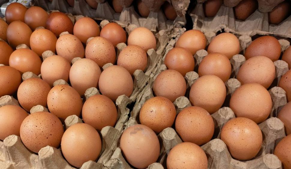 Semnificația codului de pe ouăle din magazine. Puțini români știu asta