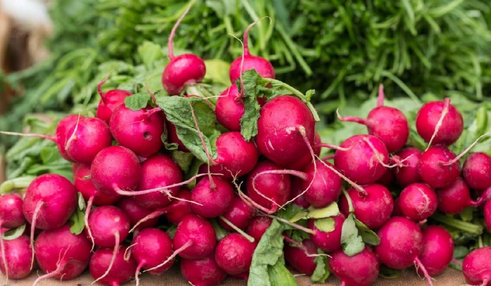 Ridichi sau ridichii. Puțini români știu care este varianta corectă ...