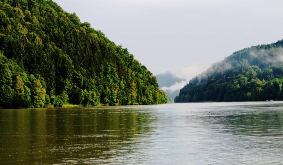 Debitul Dunării în România, motiv de îngrijorare: Nivelul apei este ...