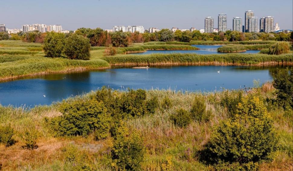 Parcul Natural Văcăreşti are, începând de luna aceasta, un serviciu ...