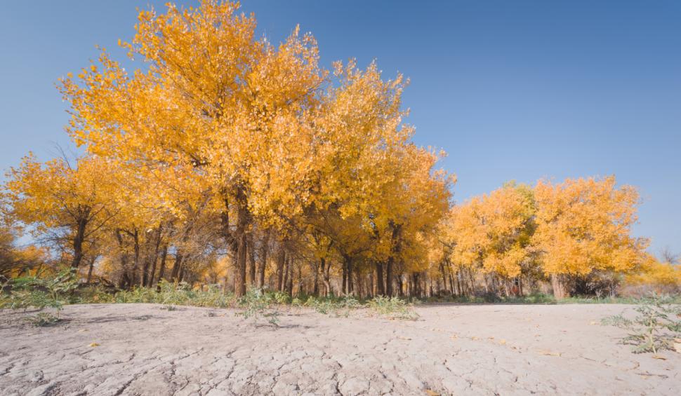 Septembrie devine a patra lună de vară în România. Roxana Bojariu, climatolog: „Stresul termic ...