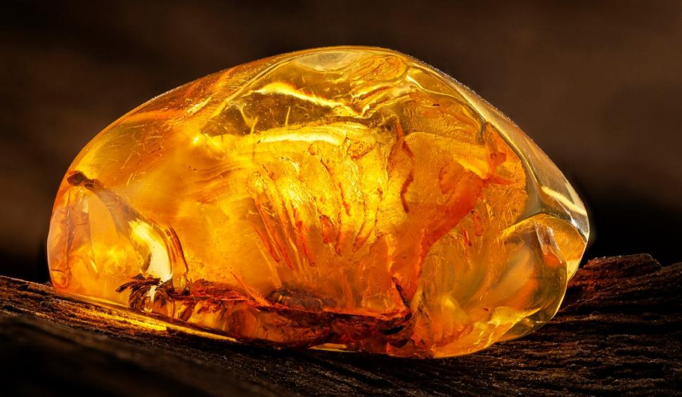 Povestea chihlimbarului folosit ca opritor de ușă, prezentată de Antena ...