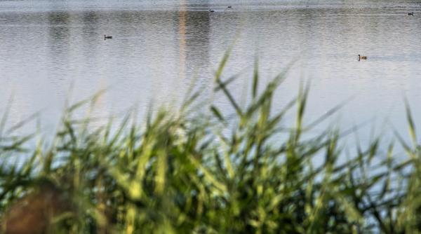 A murit actorul Ștefan Sileanu, la vârsta de 80 de ani