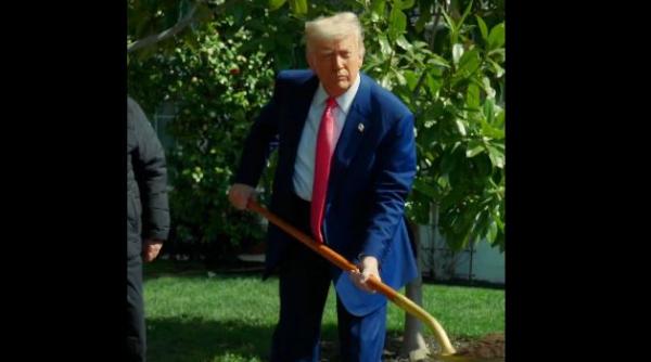 Fostul ambasador al SUA, acuzații la adresa Manuelei Catrina, numărul 2 ...