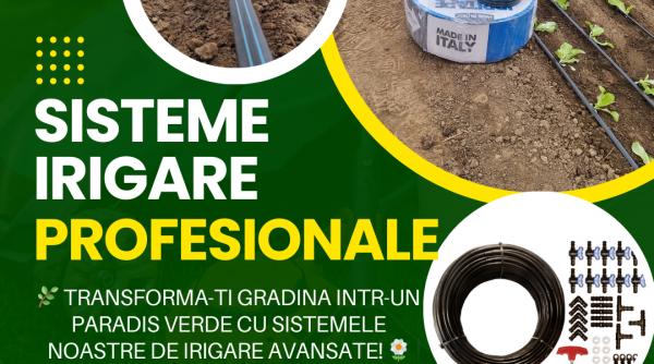 Instalații de picurare – Irigare eficientă și economie de apă | Antena ...