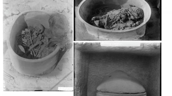 ADN-ul extras de la un schelet din Egiptul Antic este un amestec ...