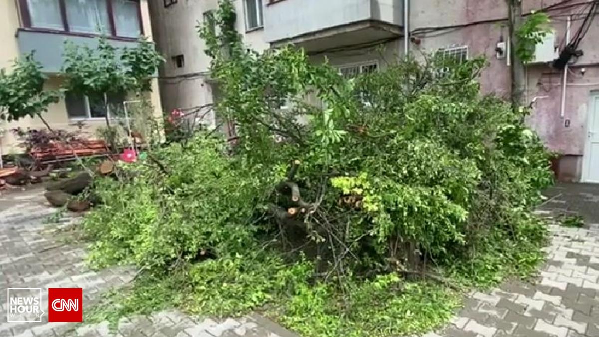 Copac prăbuşit peste două copile care se jucau în spatele blocului ...