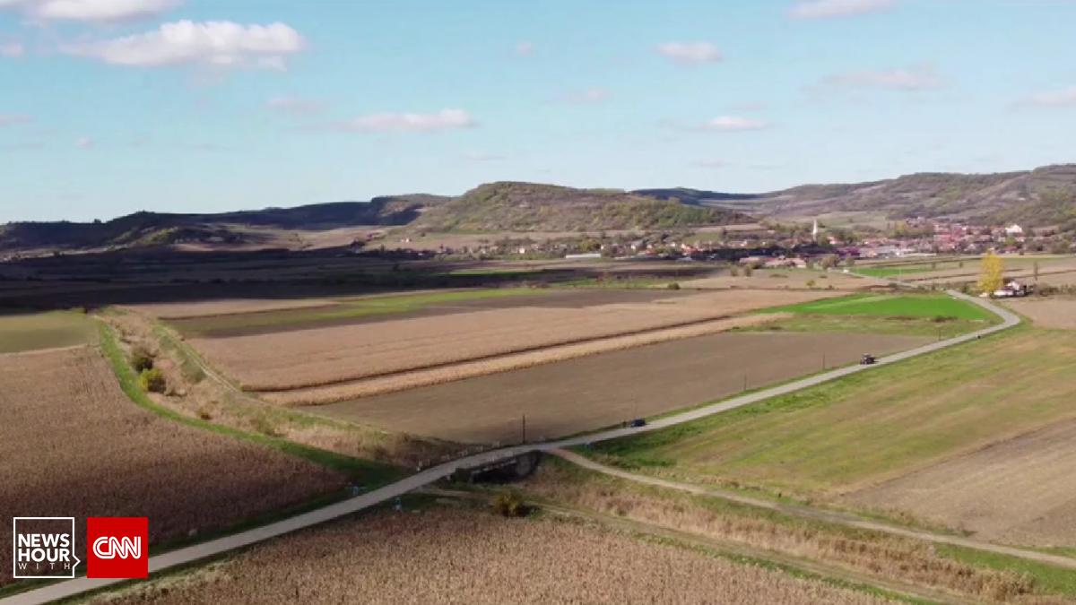 Opt ecoducte sunt solicitate de ONG-uri înaintea construirii ...