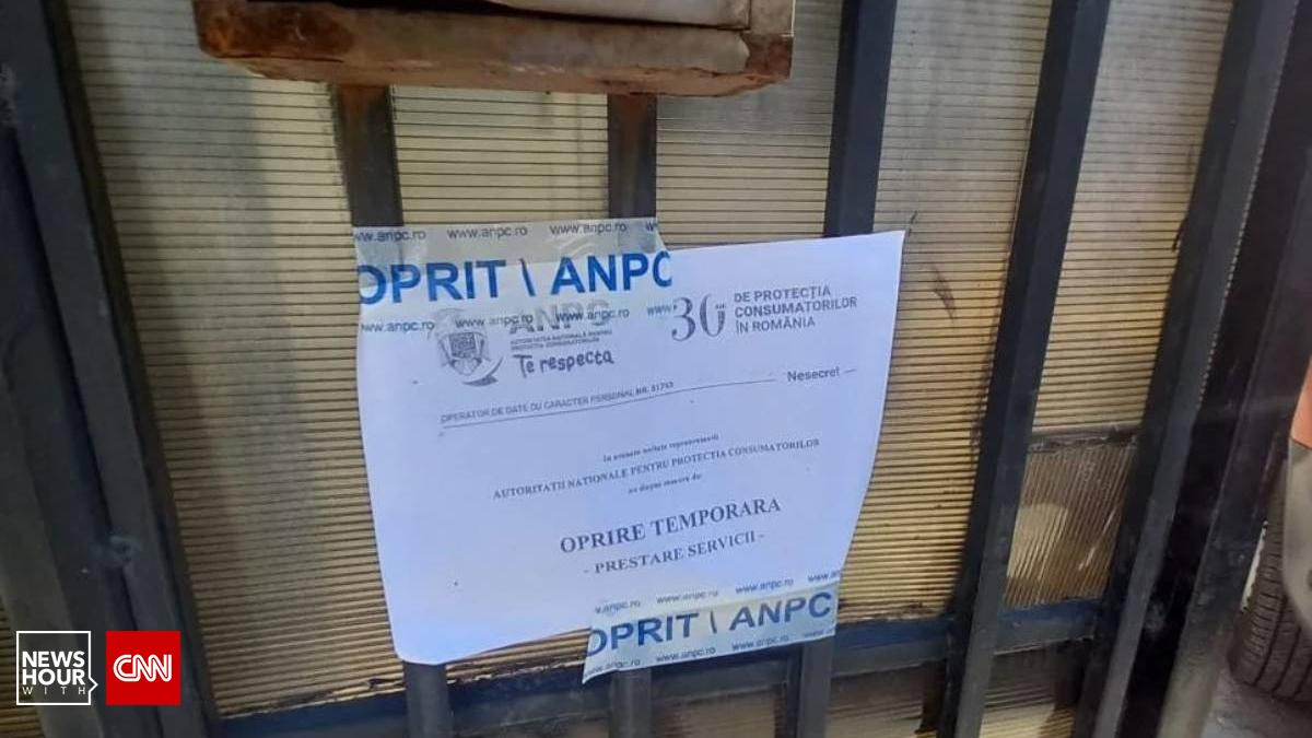 Primele imagini din azilele din Ilfov, după descinderile ANPC și ANSVSA ...