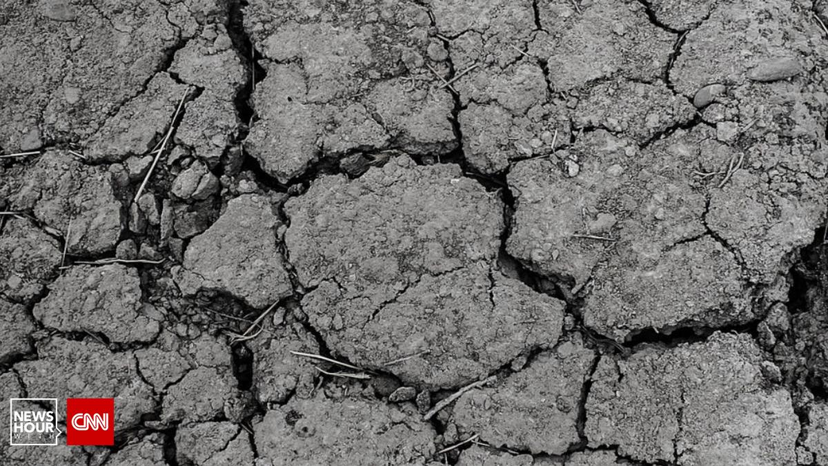 Se usucă România. Seceta a distrus deja grâul şi porumbul în proporţie ...